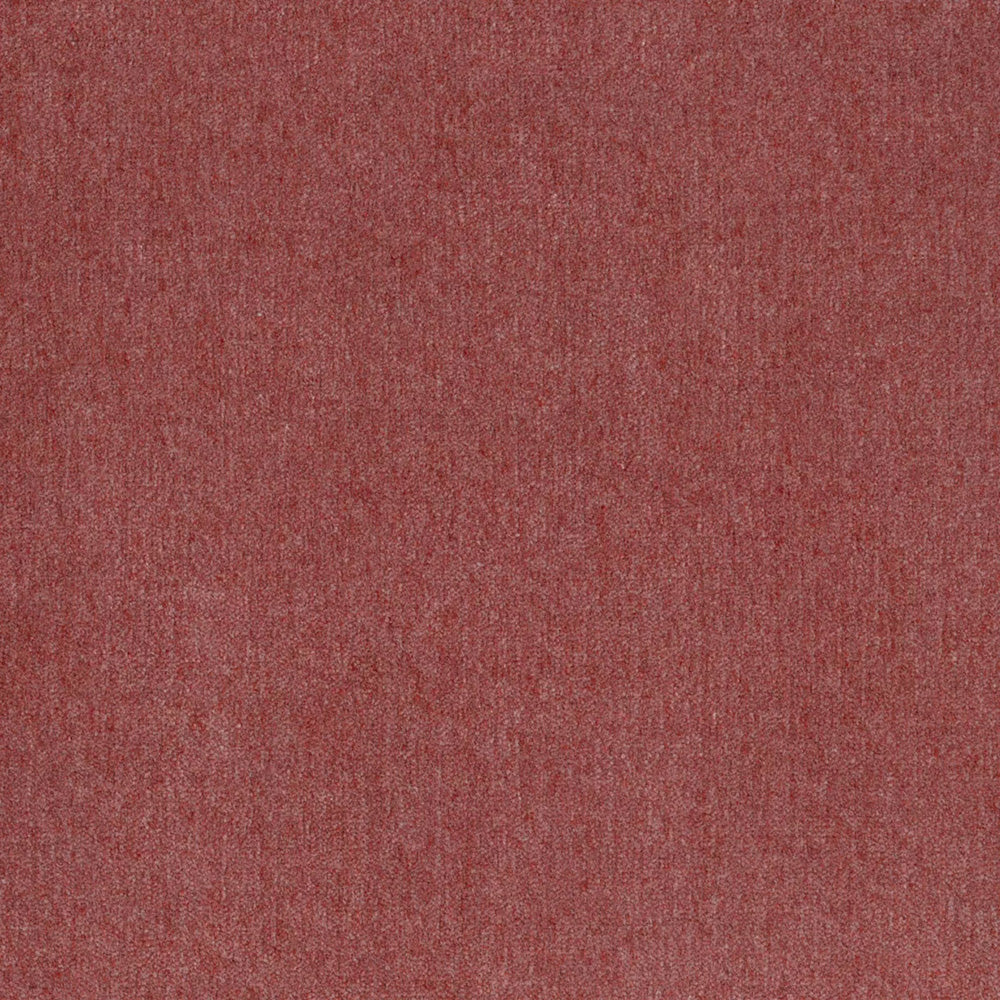 Parissi Cranberry – Inside Story Australia