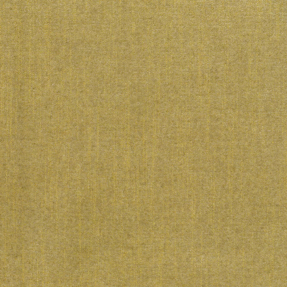 Parissi Maize – Inside Story Australia