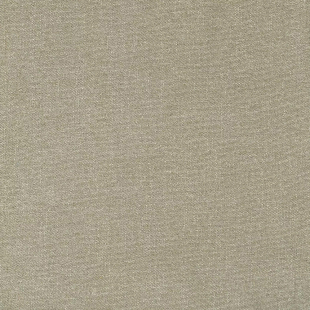 Parissi Mushroom – Inside Story Australia