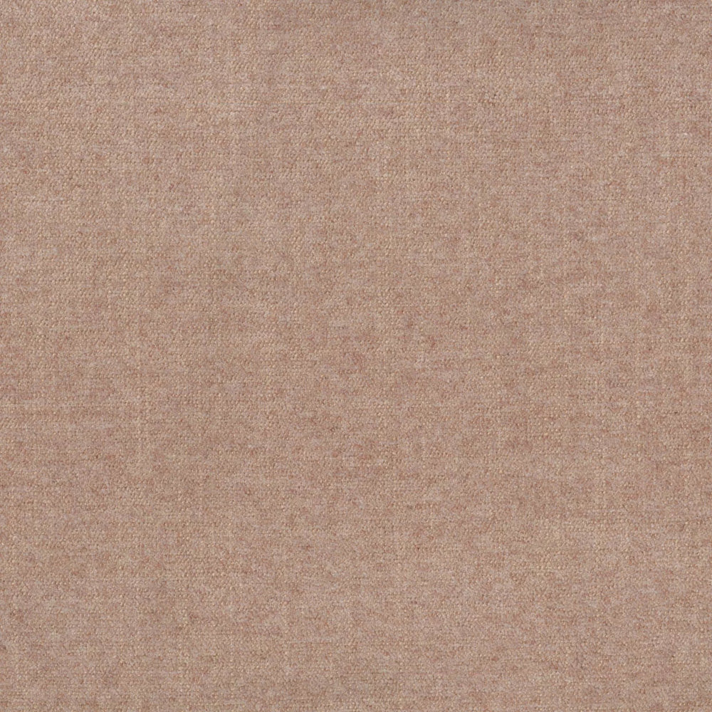 Parissi Rosewater – Inside Story Australia