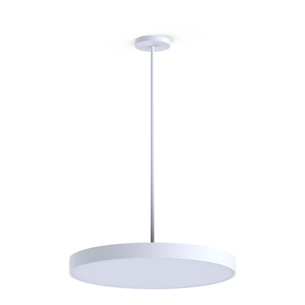 P7650 RPMOON Curve – Inside Story Australia