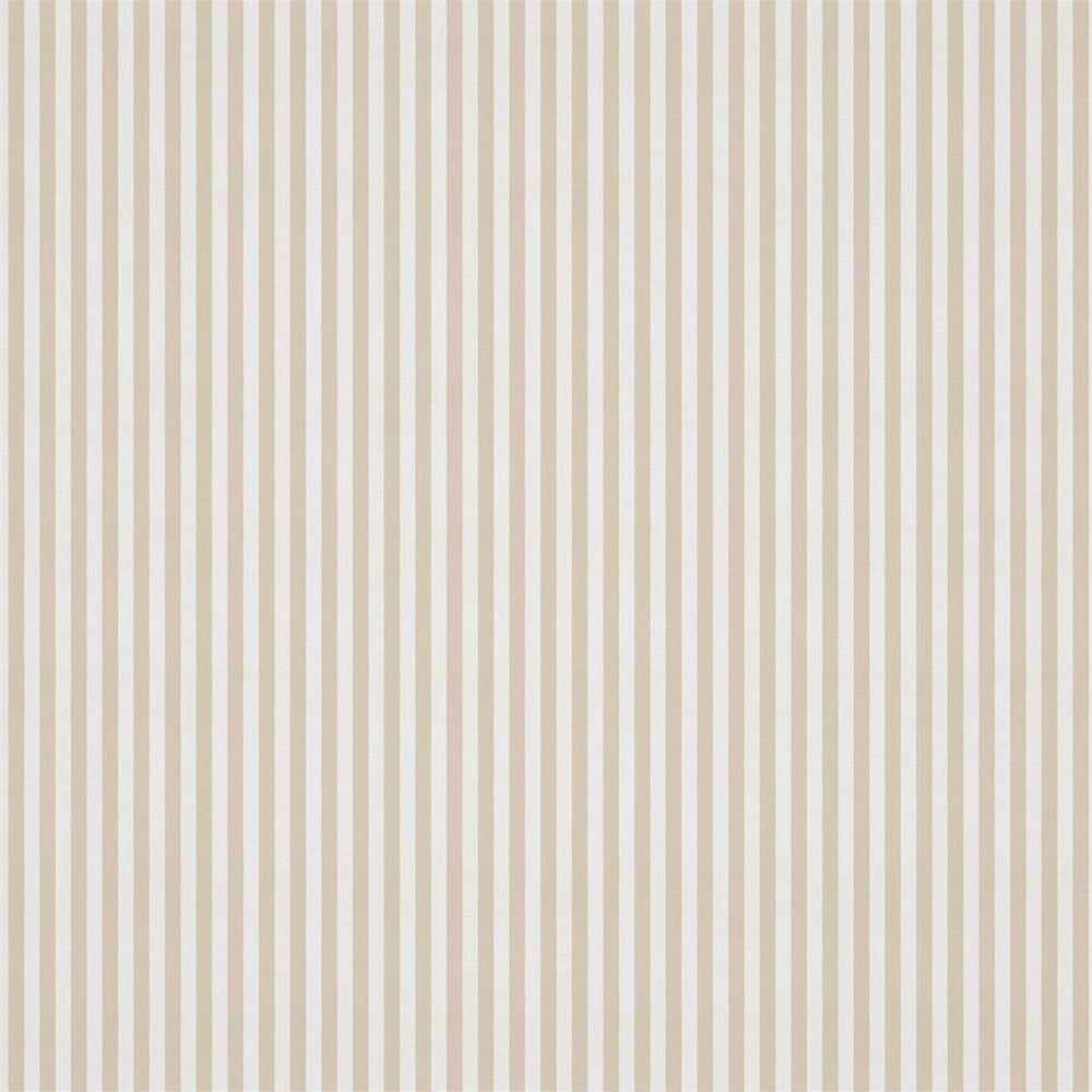 Carnival Stripe – Inside Story Australia