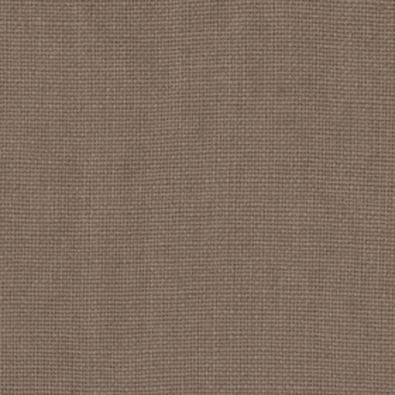 Haven Mushroom – Inside Story Australia