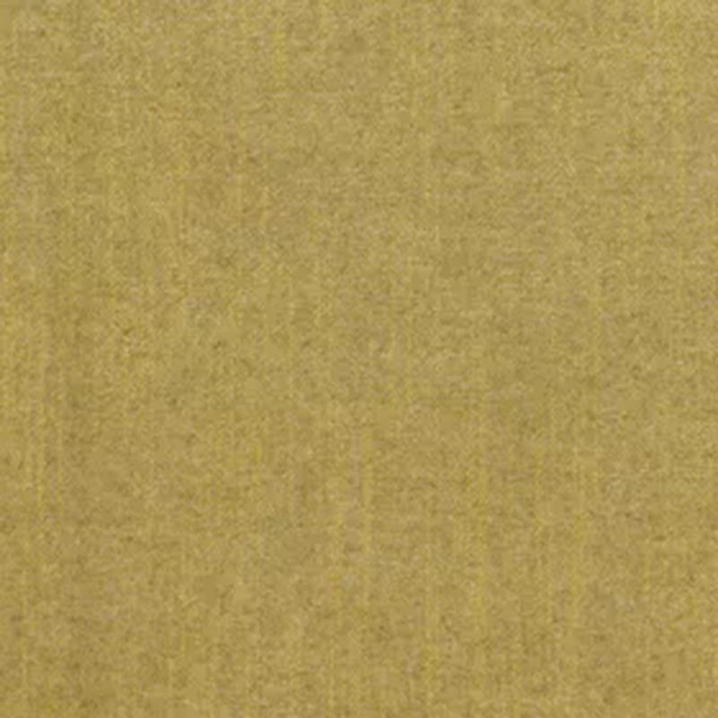 Parissi Maize – Inside Story Australia