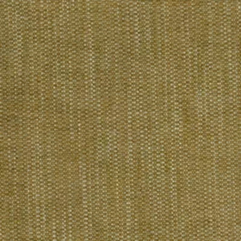 Pompeii Dijon – Inside Story Australia