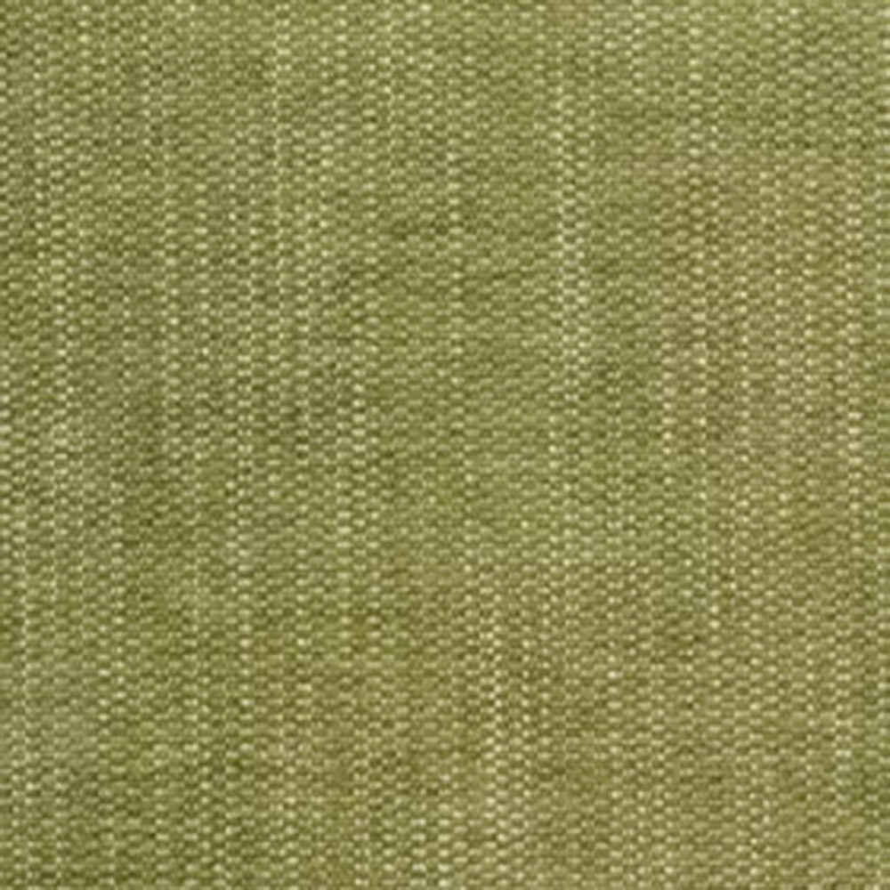Pompeii Moss – Inside Story Australia
